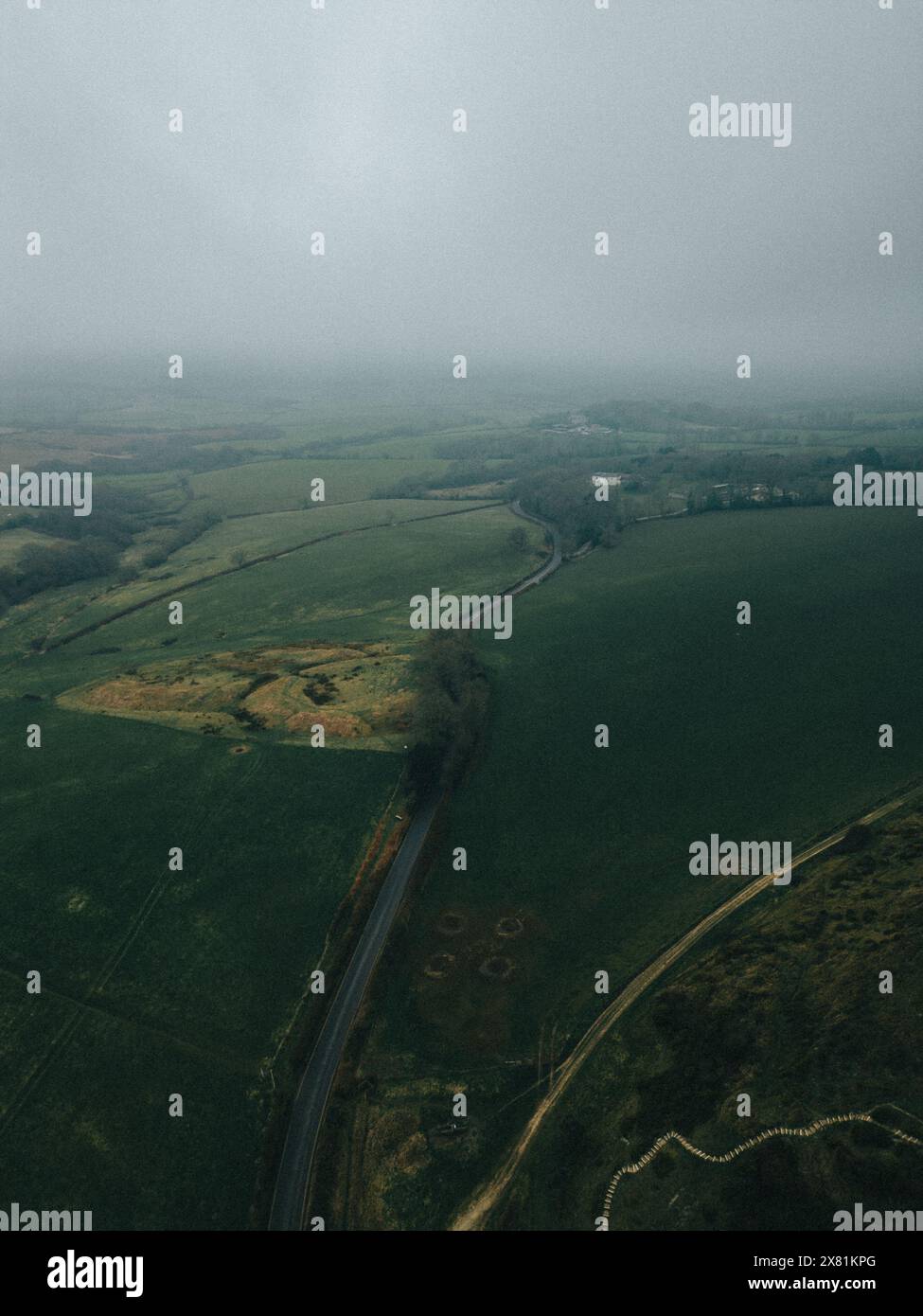 Ariel shot trees hi-res stock photography and images - Alamy