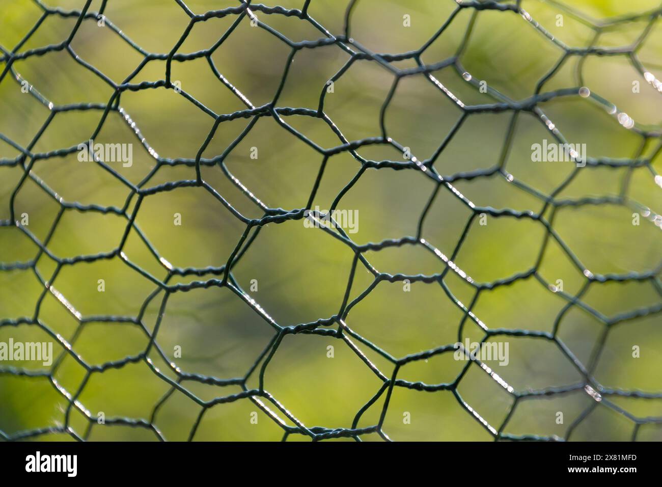Steel hexagonal mesh on a green background. Fence. Background with ...
