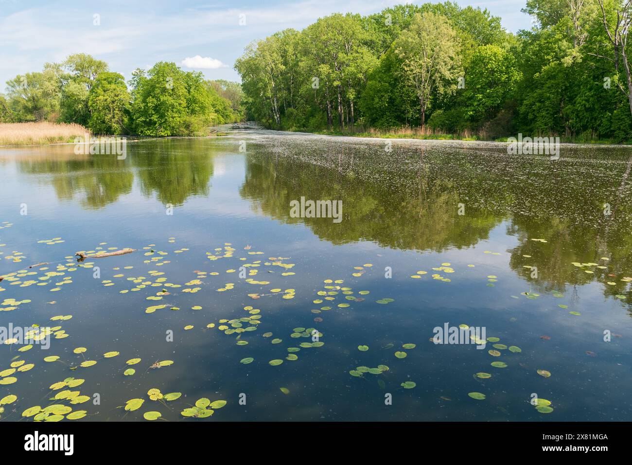 Beautiful simple spring landscape on the river. Natural background ...