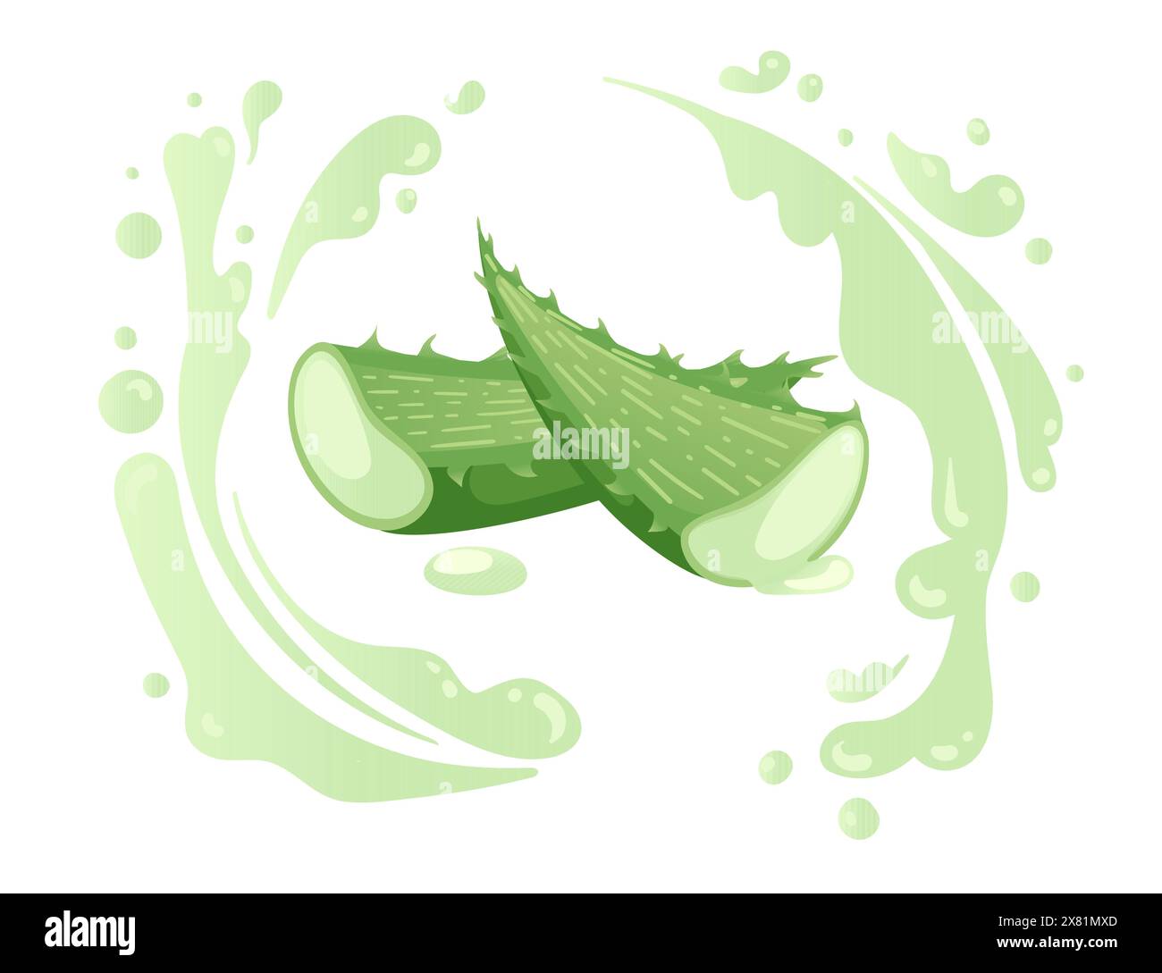 Aloe vera plant with flowing green aloe juice vector illustration ...