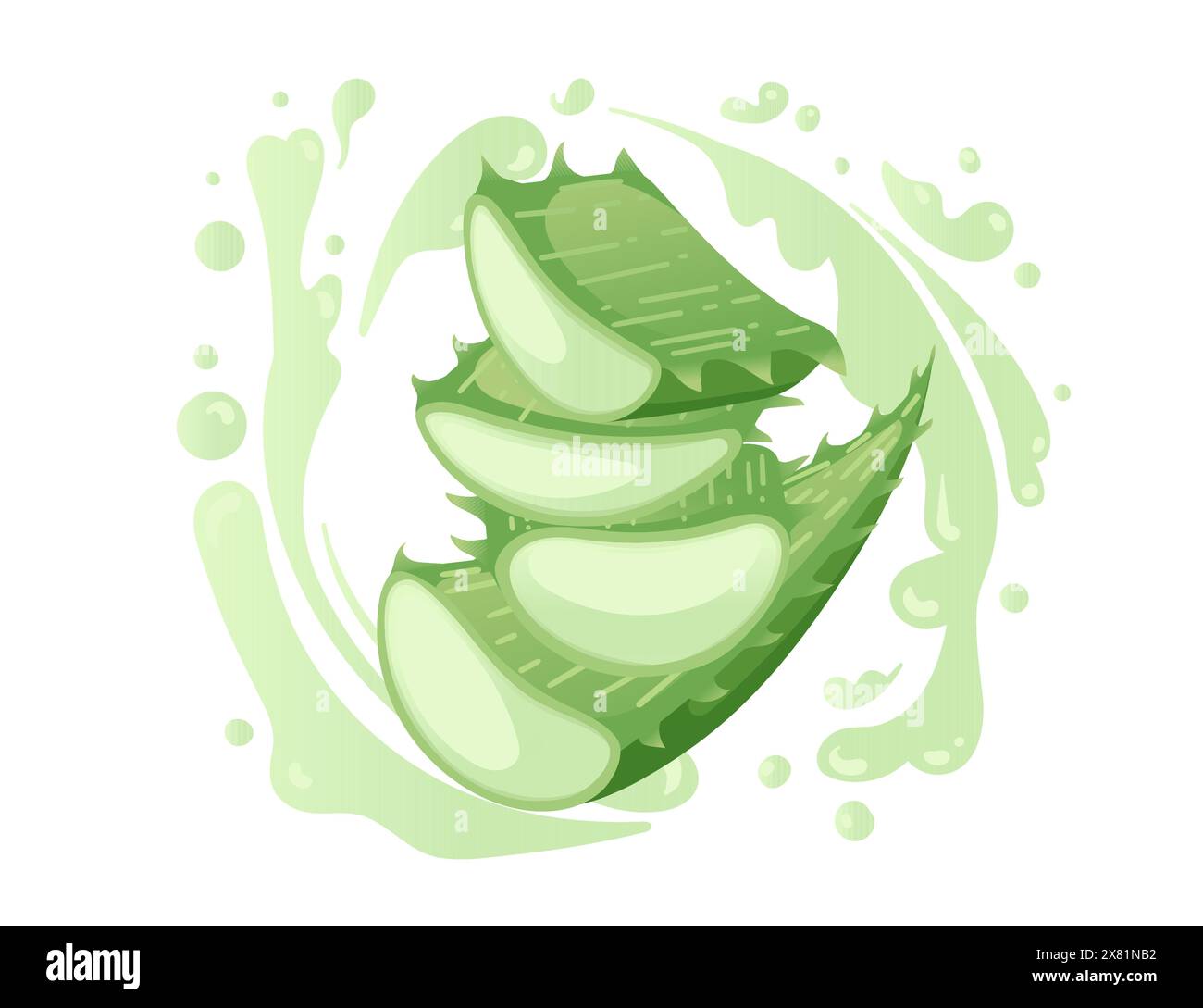 Aloe vera plant with flowing green aloe juice vector illustration ...