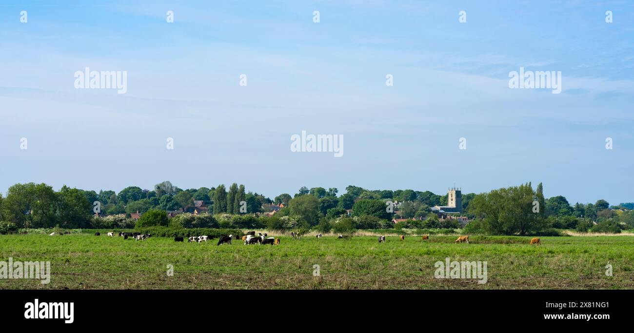 Rural view over fields to Washingborough, Lincoln, Lincolnshire ...