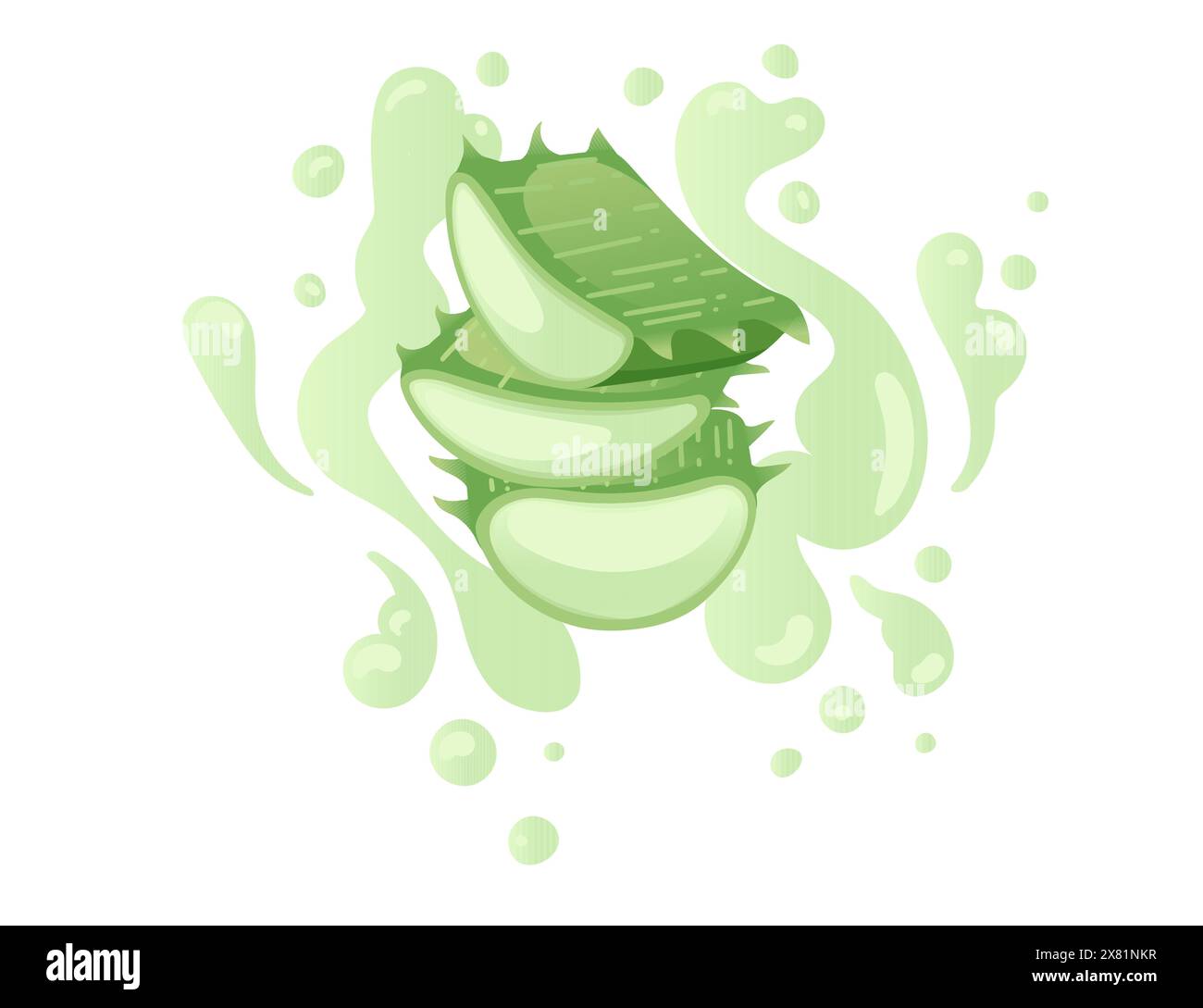 Aloe vera plant with flowing green aloe juice vector illustration ...
