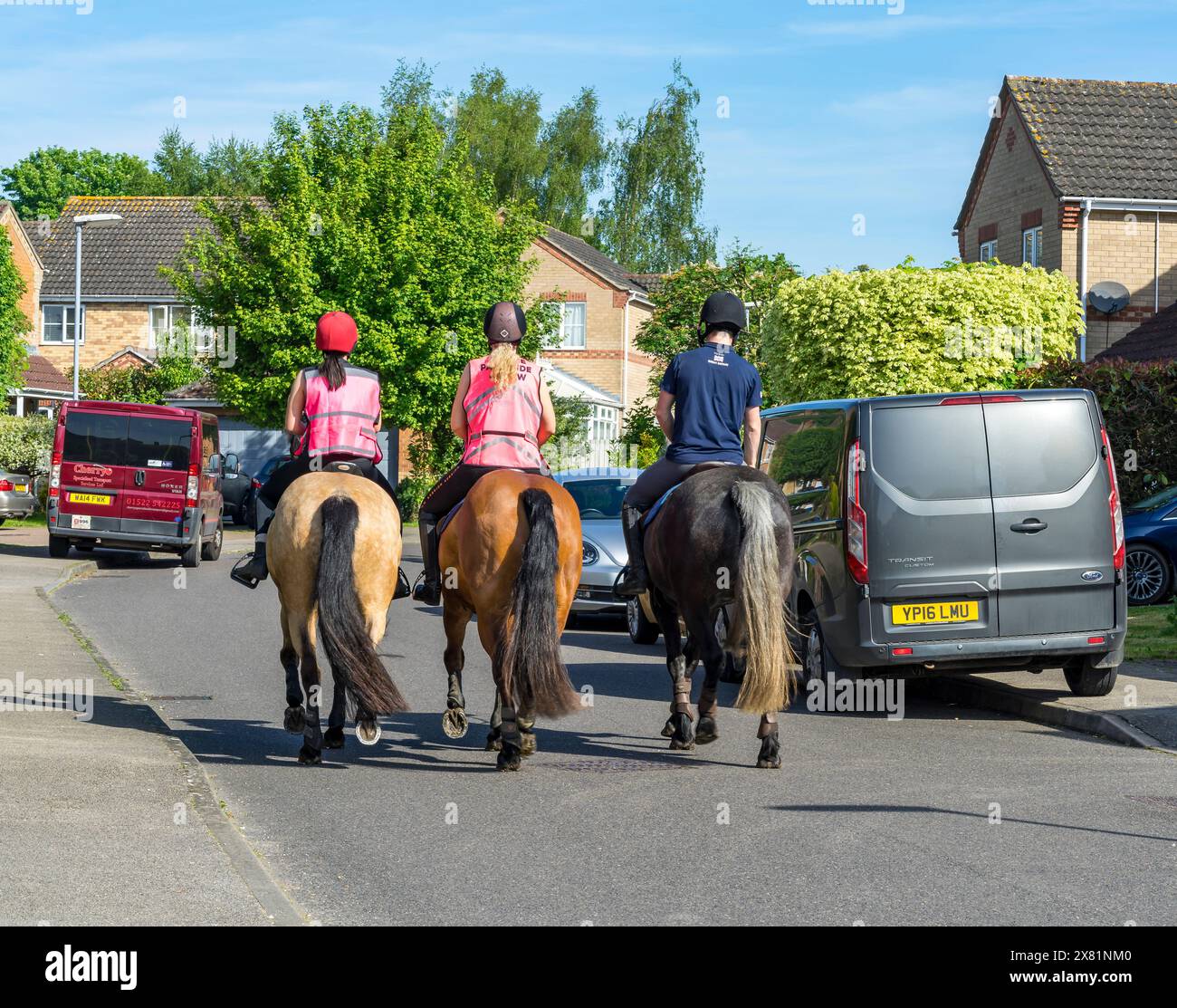 Three riders exercising horses on village streets, Cherry Willingham ...