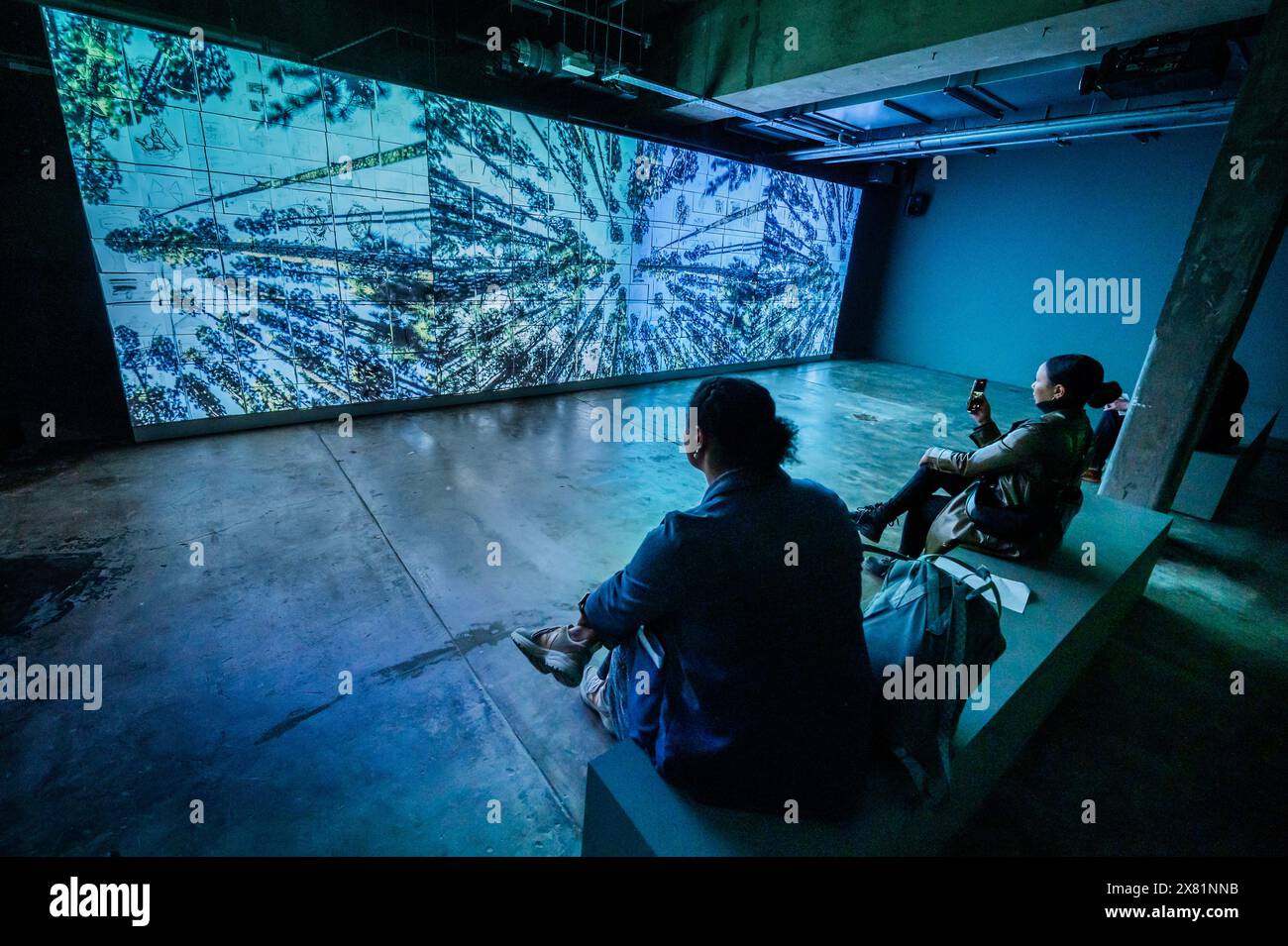 Reverb site hi-res stock photography and images - Alamy