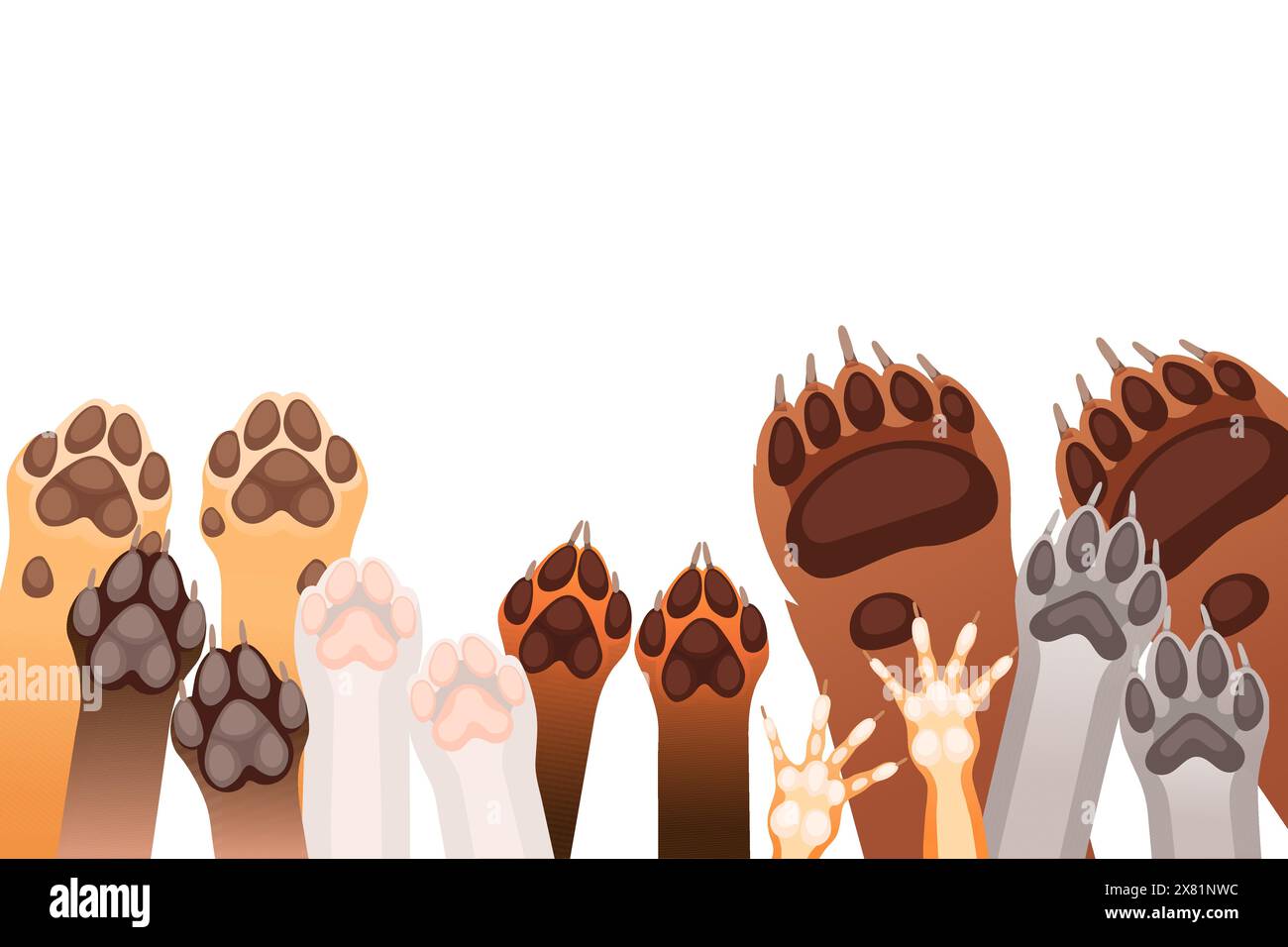 Animal paws in a row brown bear fox wolf and dog vector illustration ...