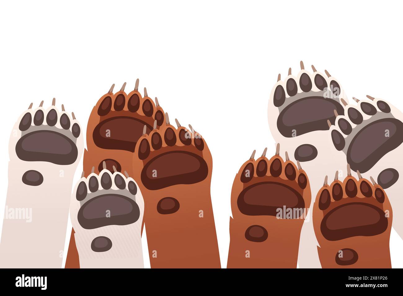 Animal paws in a row brown bear and white bear vector illustration ...