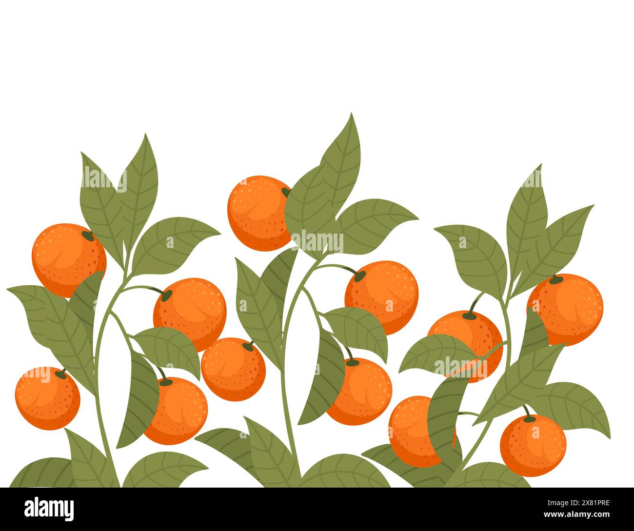 Tasty tropic mandarin orange fruit citrus family with leaves vector ...