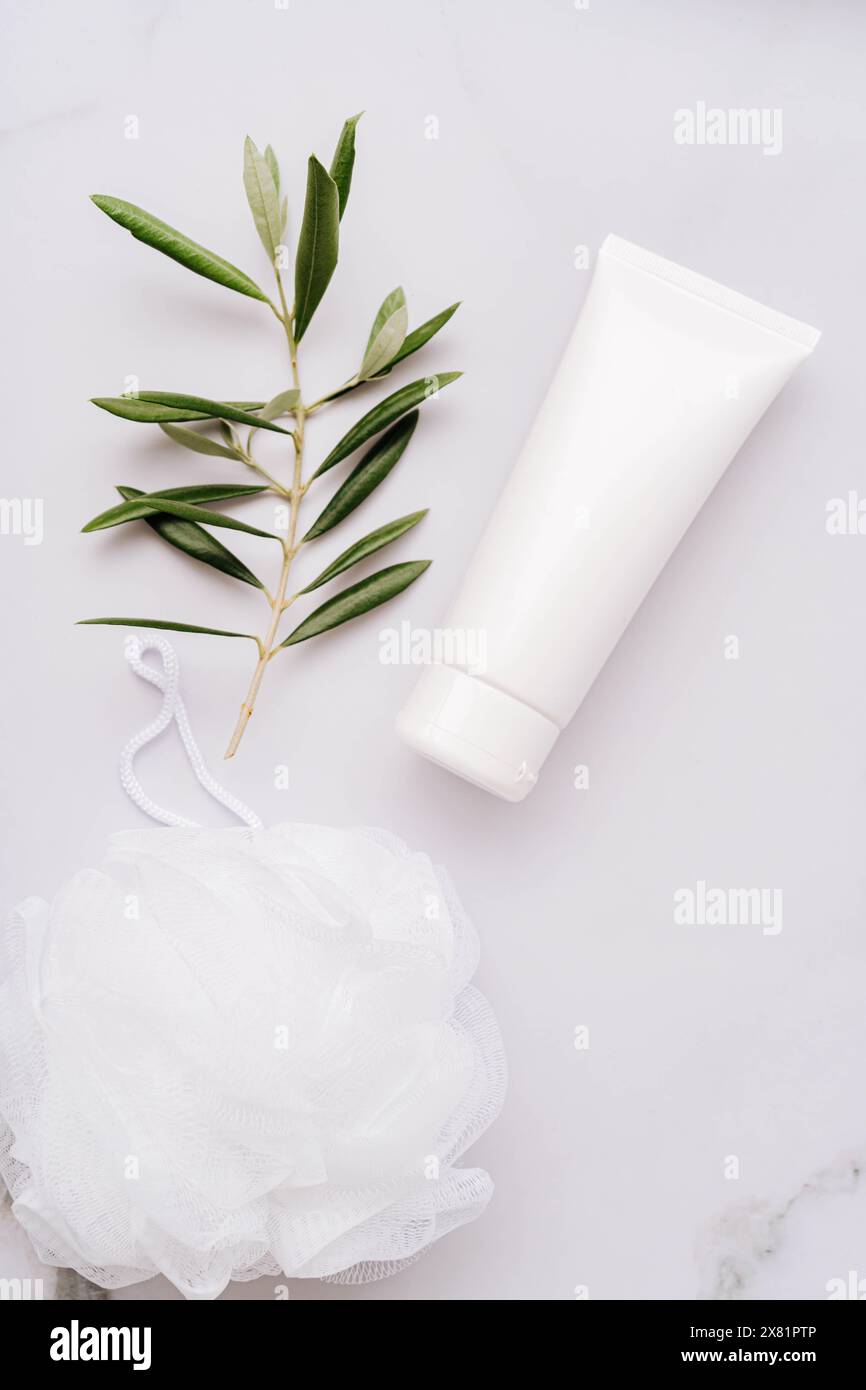Flat lay of white plastic tube without label, sponge for body and olive ...