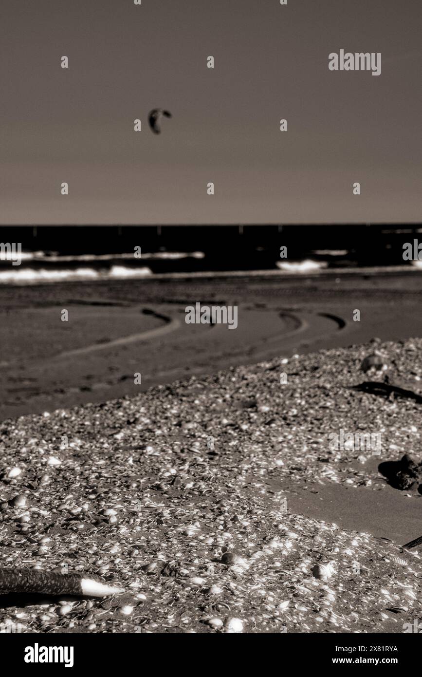 Landscape of Marina di Ravenna's beach (Italy Stock Photo - Alamy