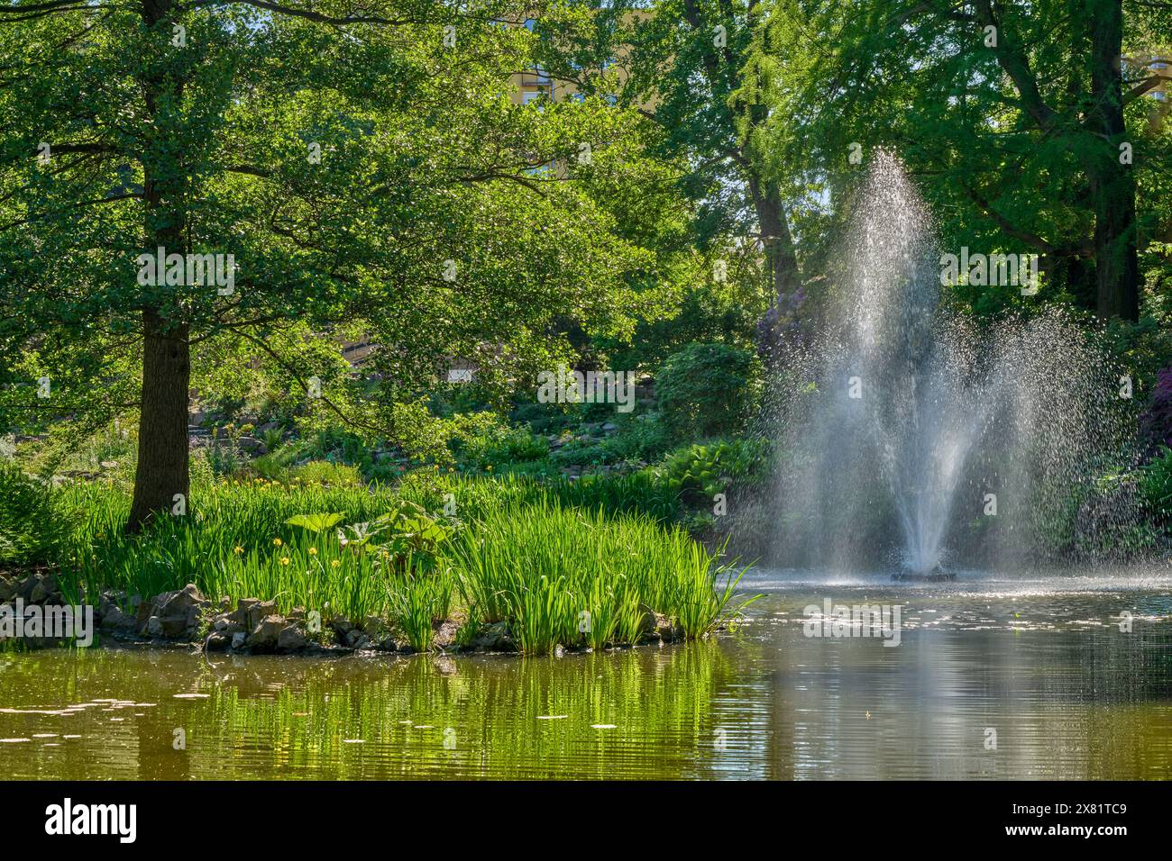 Botanical Gardens in Wroclaw during spring Stock Photo - Alamy