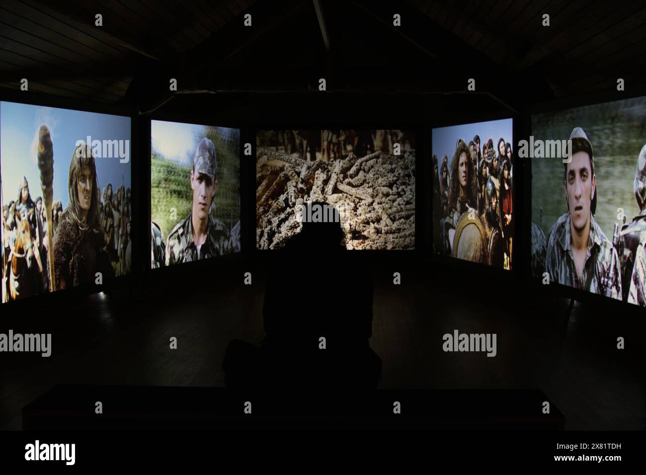 A woman immerses herself in the magic of cinema, captivated by the ...