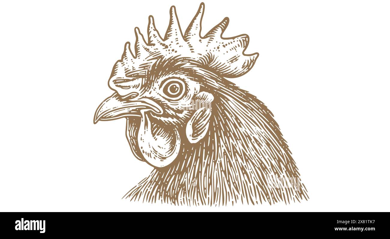 Chicken, hen head. Vintage retro print Stock Vector Image & Art - Alamy