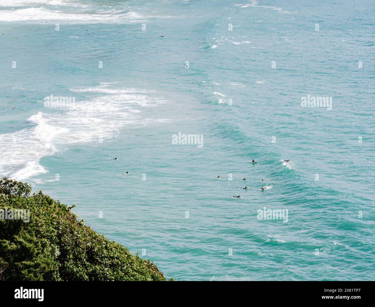 Few surfers lying on a surfboards waiting for a suitable wave alone in ...