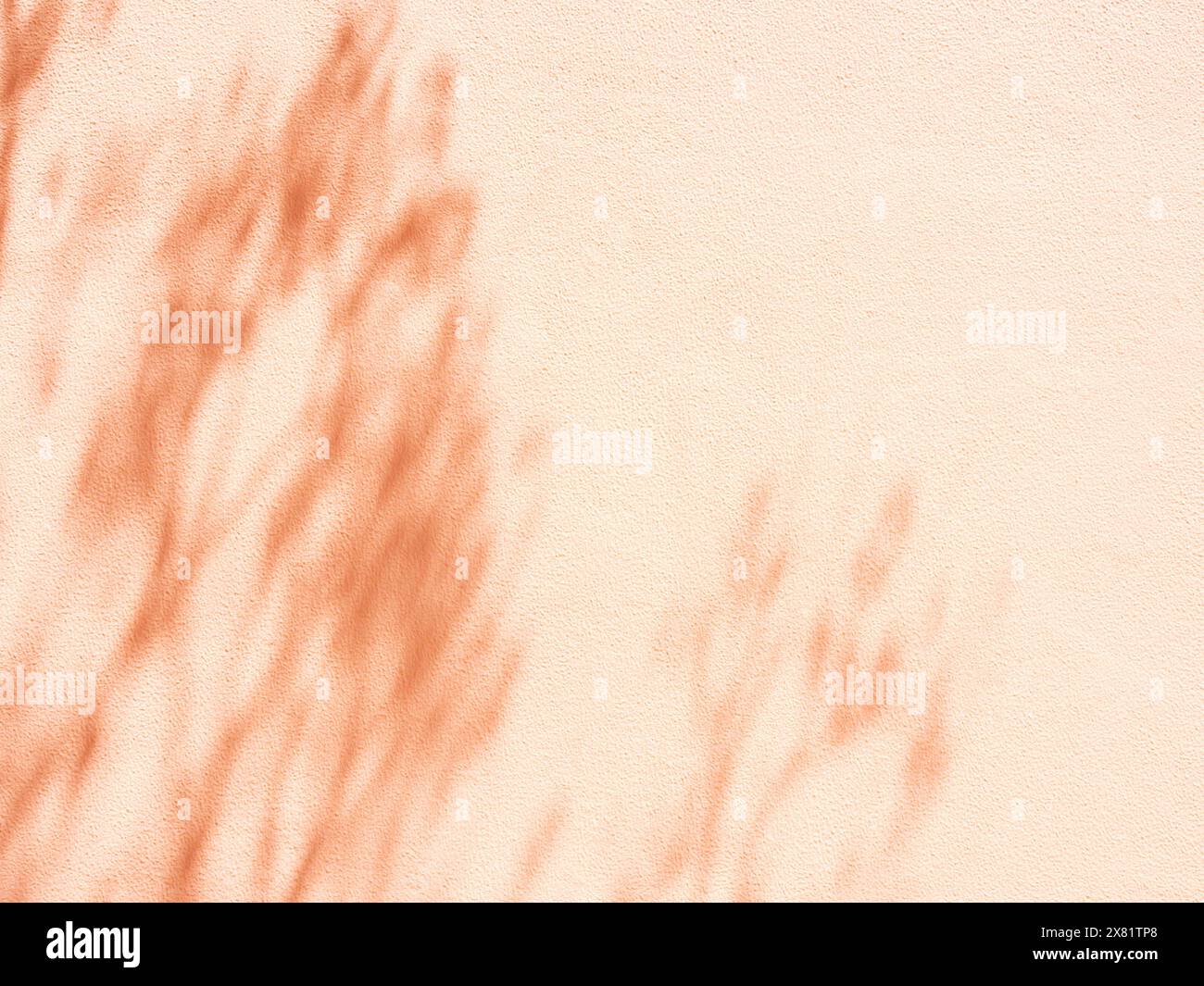 Minimal abstract silhouette shadow beige background of natural leaves ...