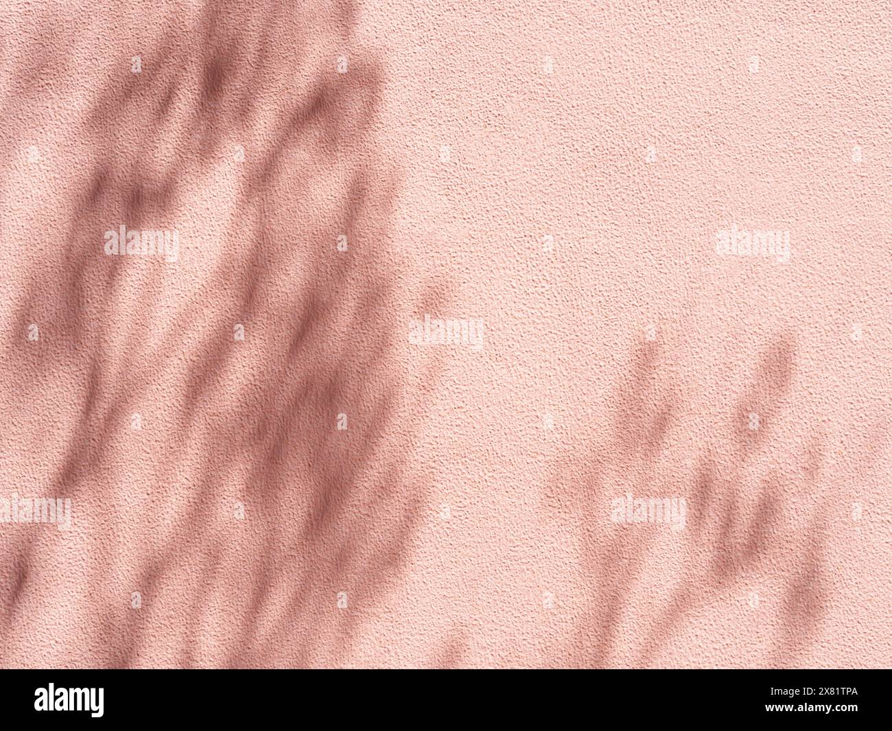 Minimal abstract silhouette shadow pink background of natural leaves of ...