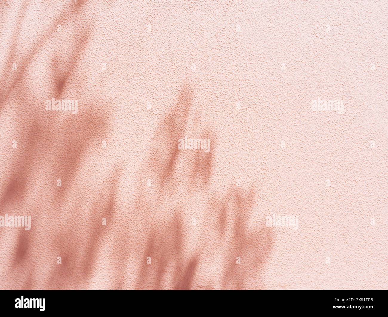 Minimal abstract silhouette shadow pink background of natural leaves of ...