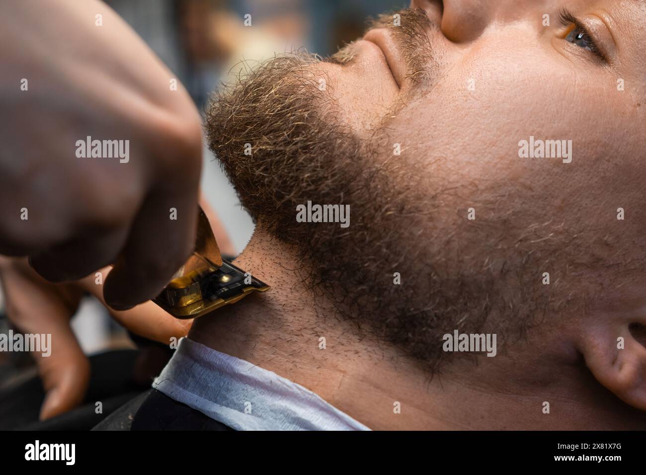 Master barber employs an automatic trimmer to groom the clients beard ...