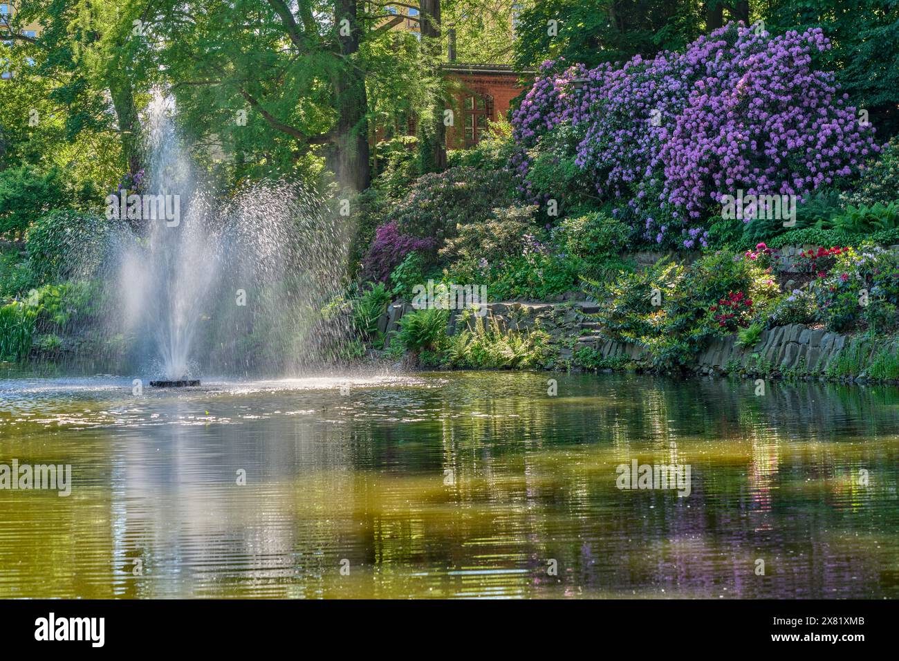 Botanical Gardens in Wroclaw during spring Stock Photo - Alamy