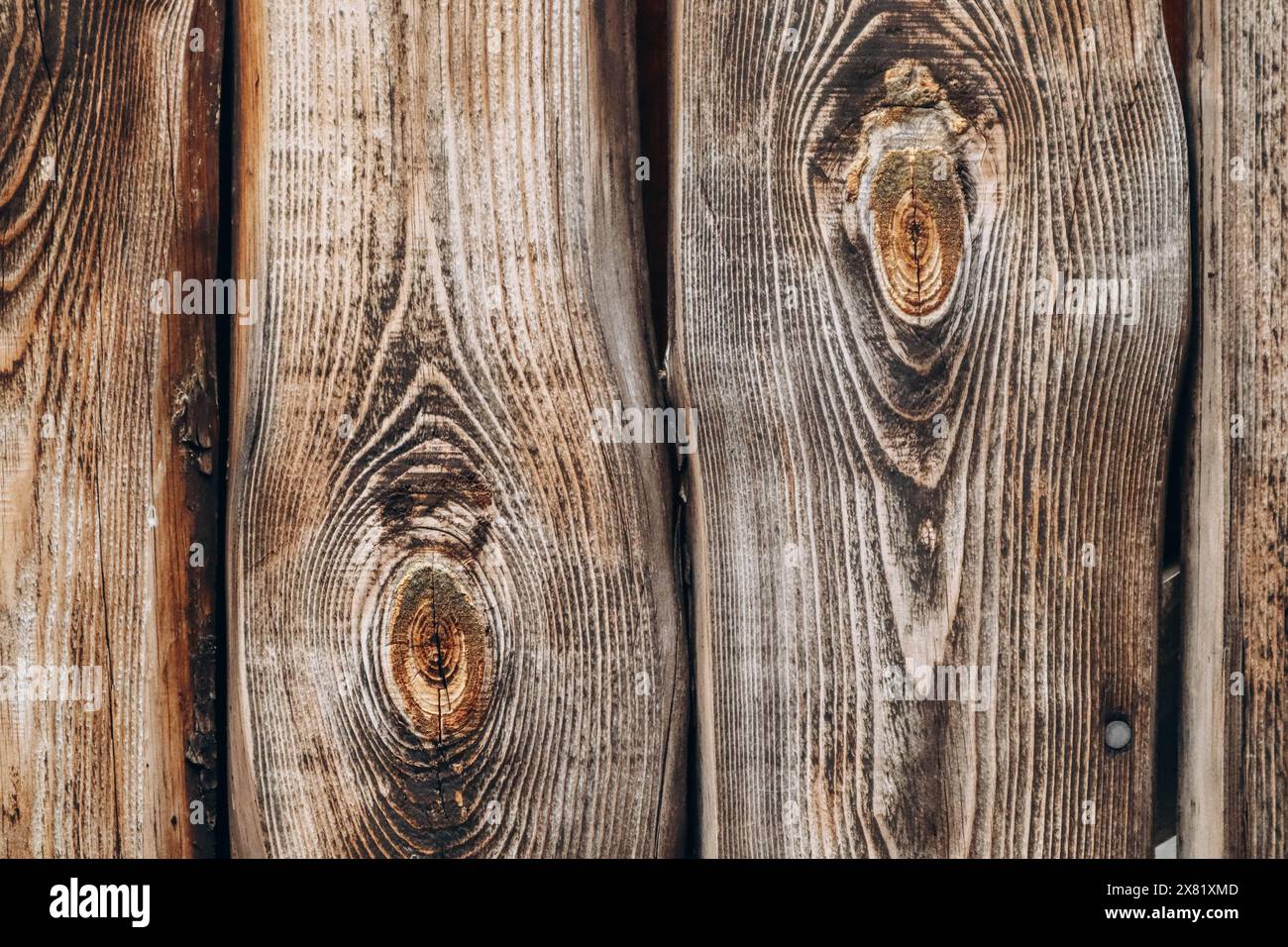 Beautiful wood texture with contrast traced fibers Stock Photo - Alamy