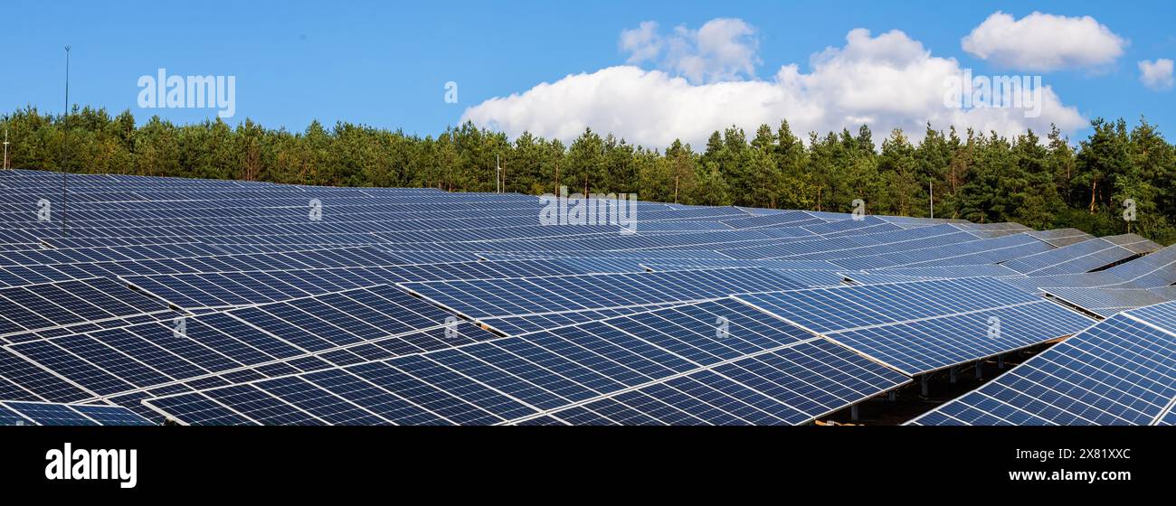 Solar panels in Large Photovoltaic power station, solar park, Renewable ...