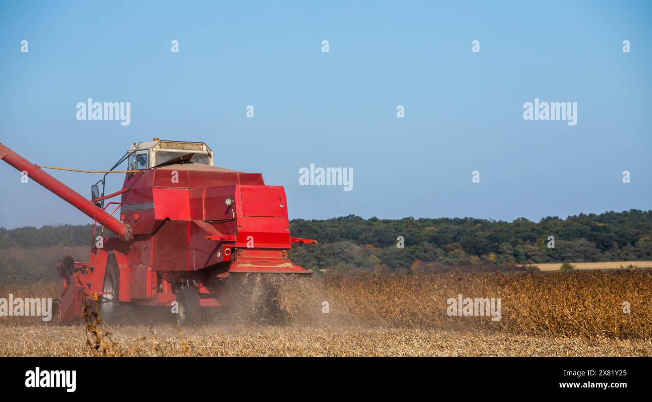Red combine harvesting a crop of soybeans Stock Photo - Alamy