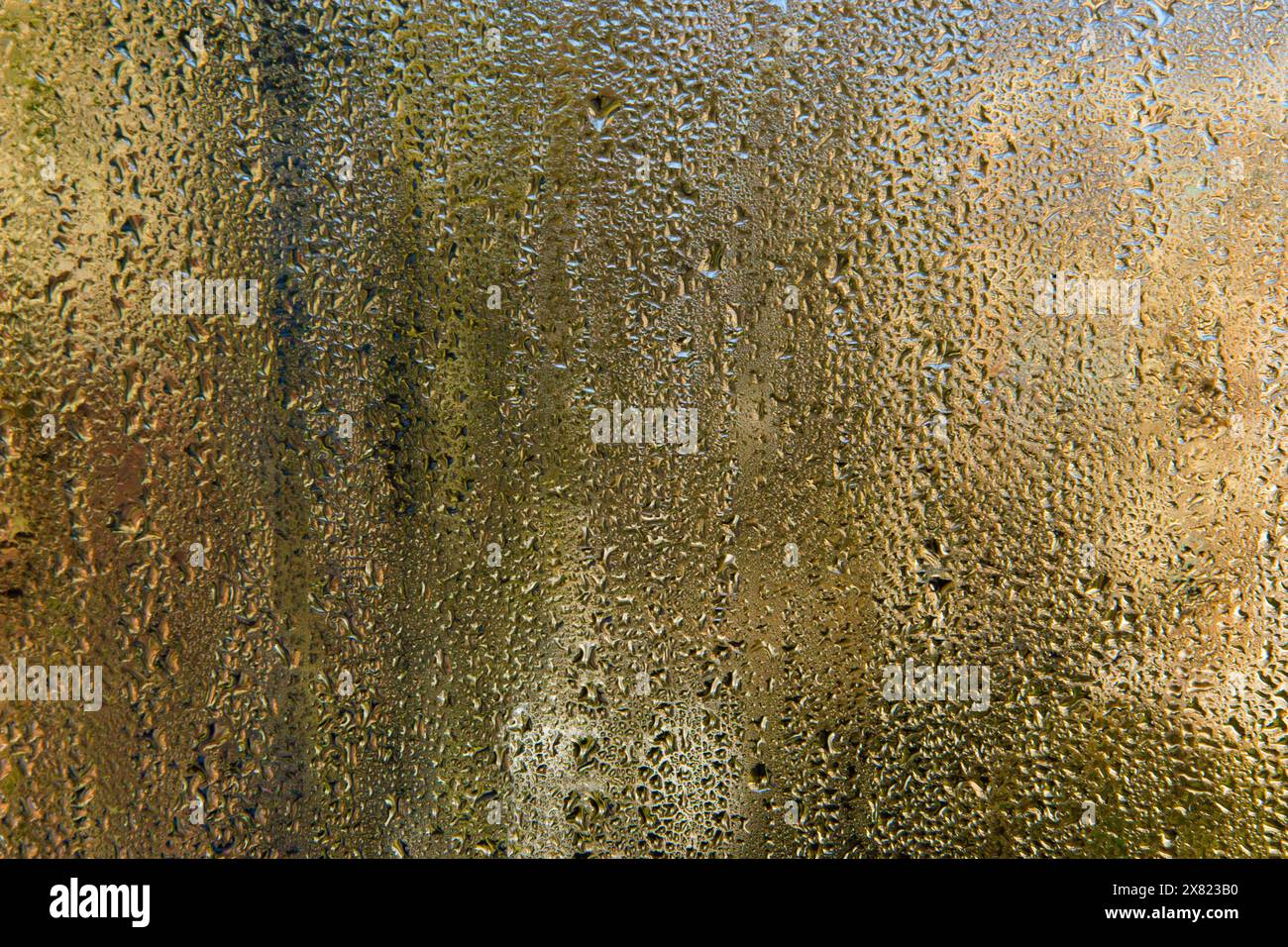 The background is wet glass. drops on the glass Stock Photo - Alamy