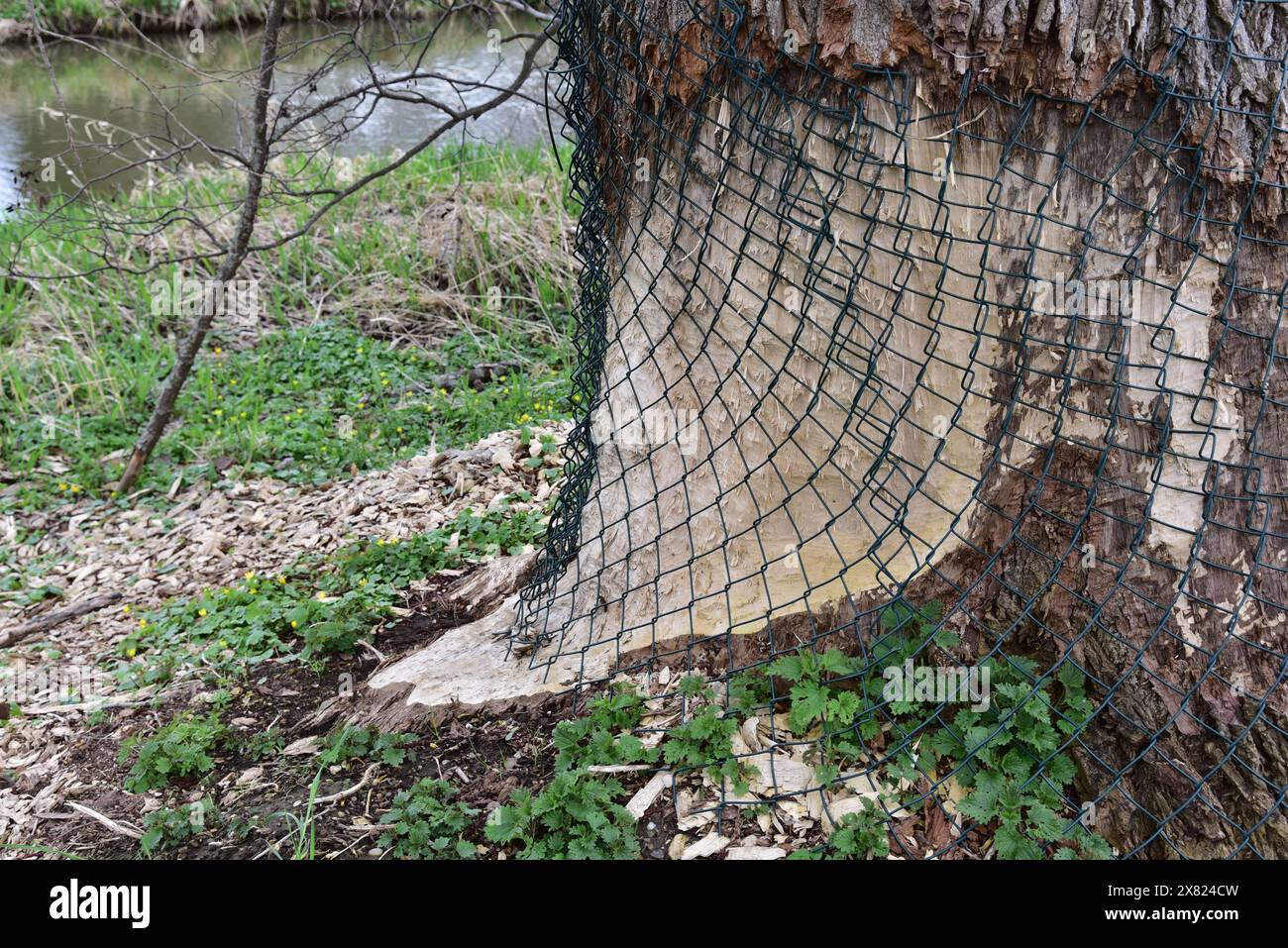 3334dyj4 hi-res stock photography and images - Alamy