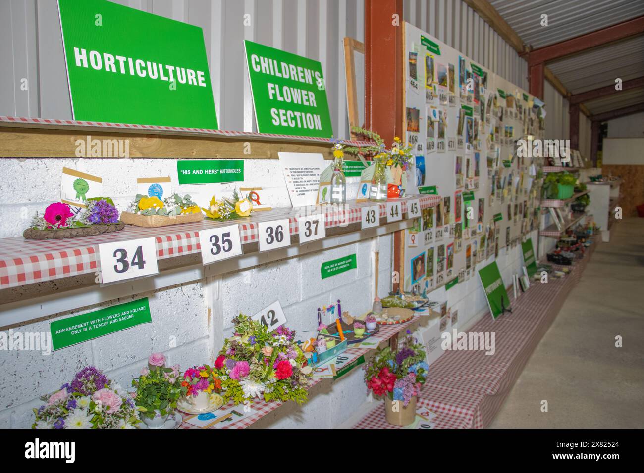 Bandon show hi-res stock photography and images - Alamy