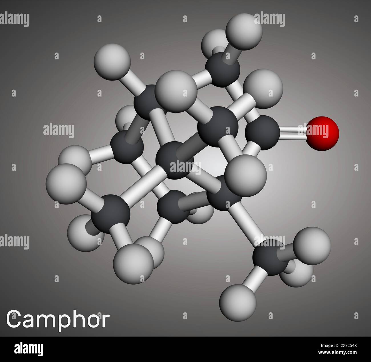 Camphor molecule. It is terpenoid and a cyclic ketone. Molecular model ...