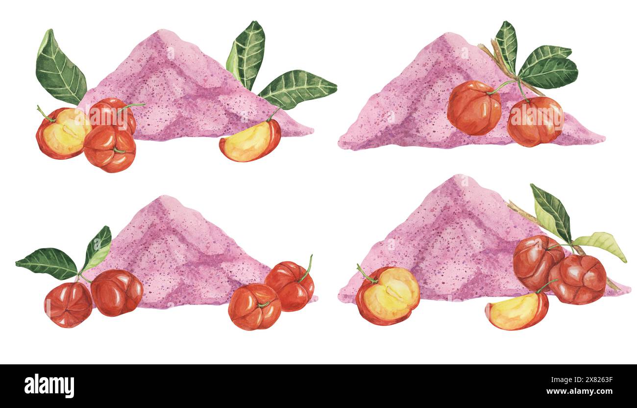 Acerola cherry pink powder set, red Barbados cherry fruits clipart with ...