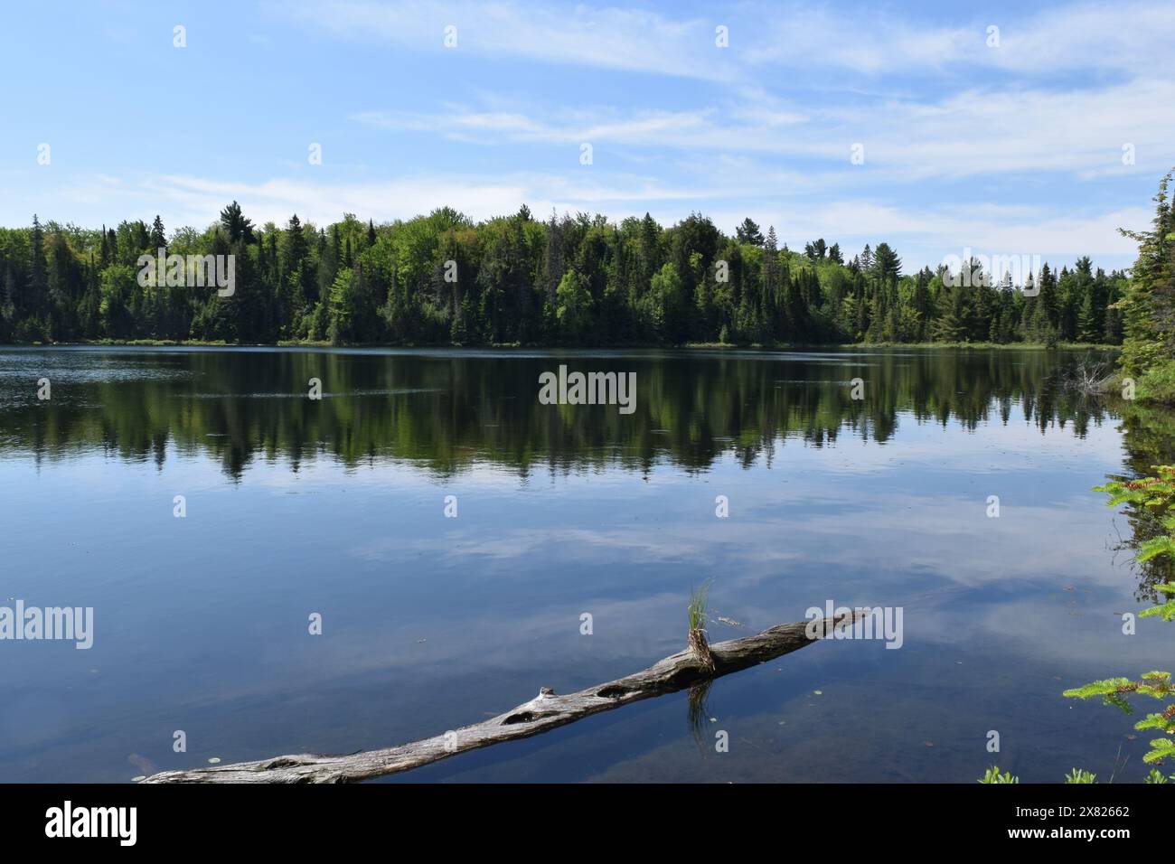 Peck Lake, Algonquin Provincial Park, Ontario, Canada Stock Photo - Alamy