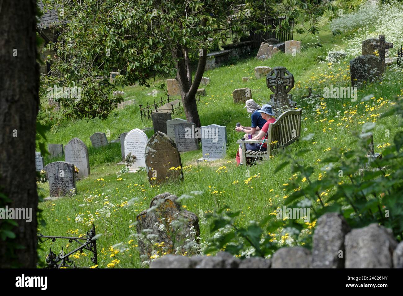 Around Randwick, a small Cotswold village near Stroud Glos UK Sitting ...