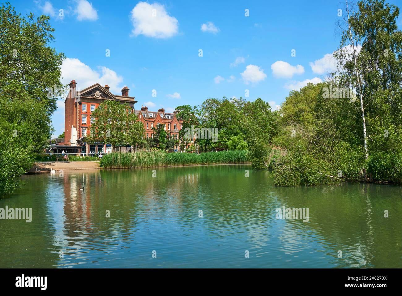 Barnes pond hi-res stock photography and images - Alamy