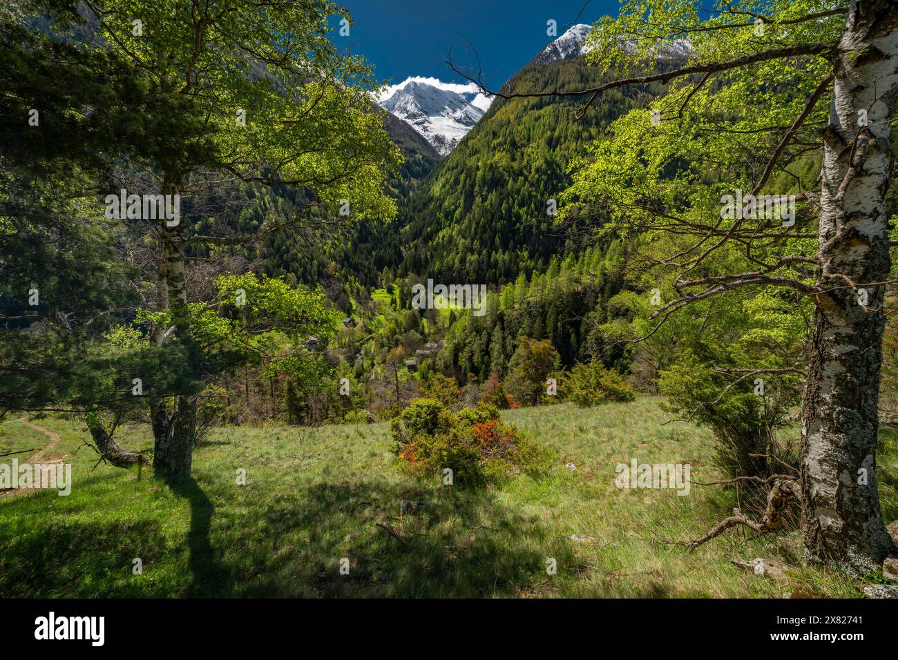 Grund settlement in green valley near Brig town in spring fresh morning ...