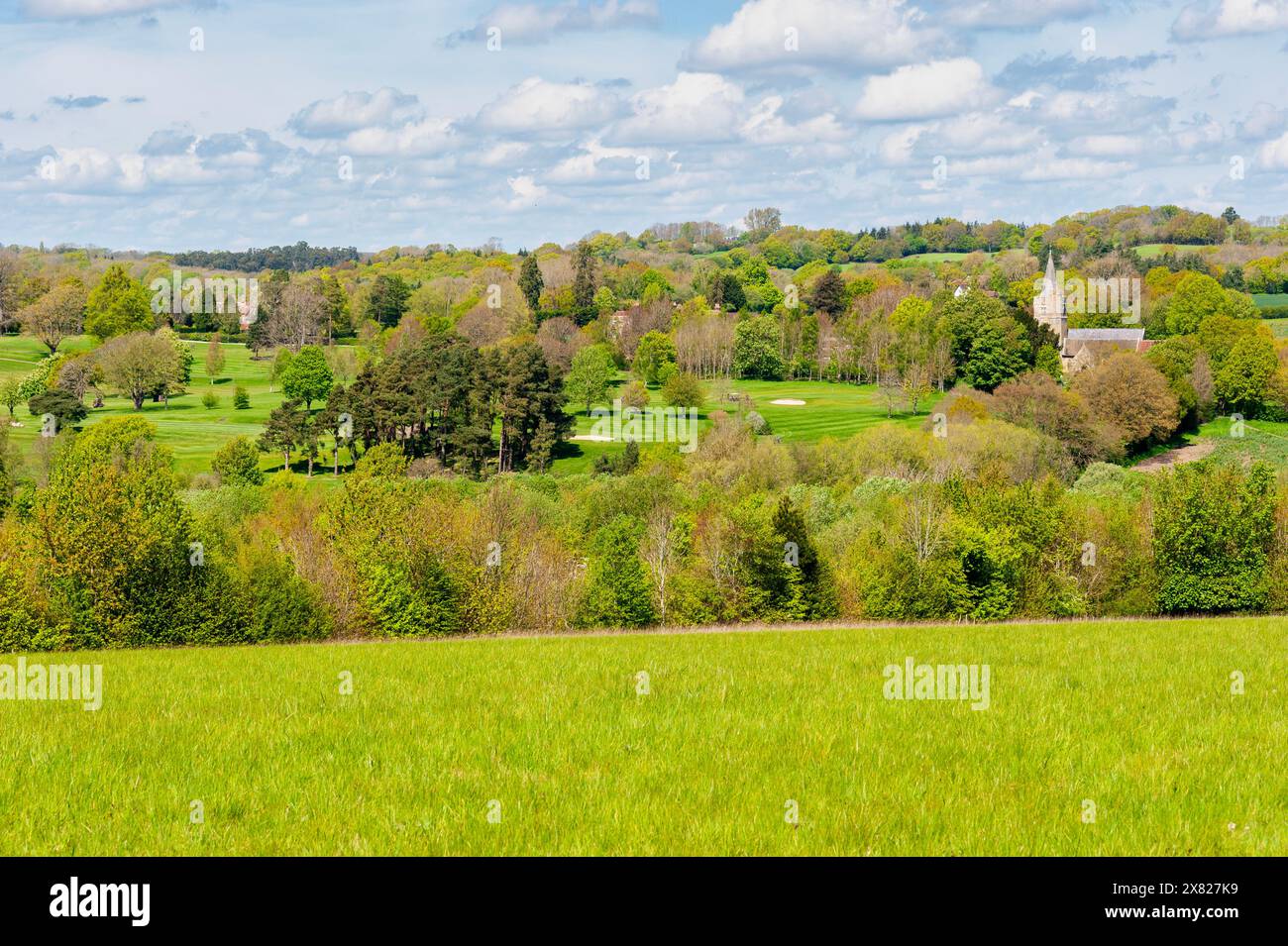 View across to St Mary's Church and the part of the golf course in ...