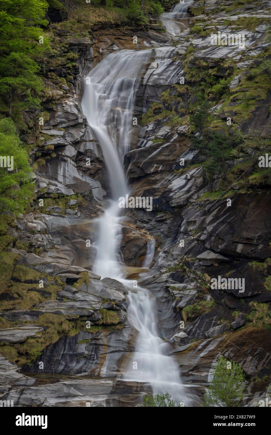 Waterfall in spring evening in valley of river Diveria in Gondo small ...