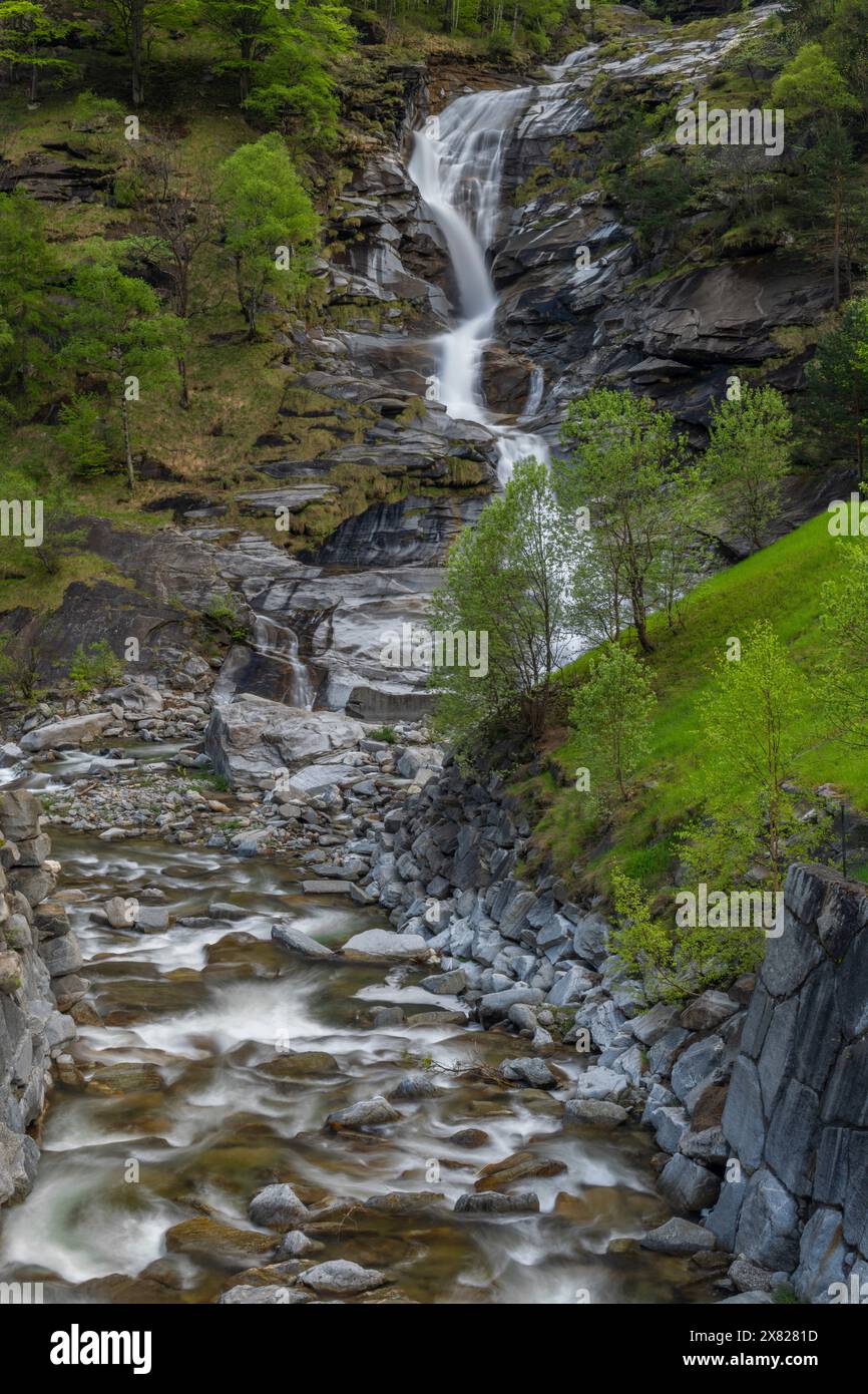 Waterfall in spring evening in valley of river Diveria in Gondo small ...