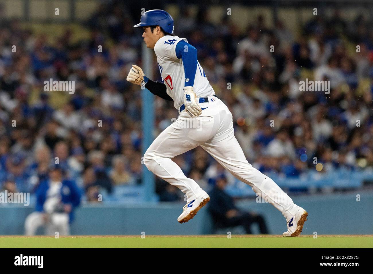 Los Angeles, California, USA. 21st May, 2024. Los Angeles Dodger SHOHEI OHTANI steals third base ...