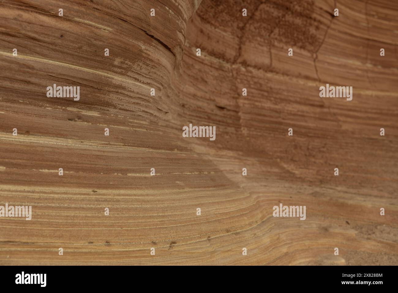 Close-up of intricate sandstone swirls and erosion patterns ...