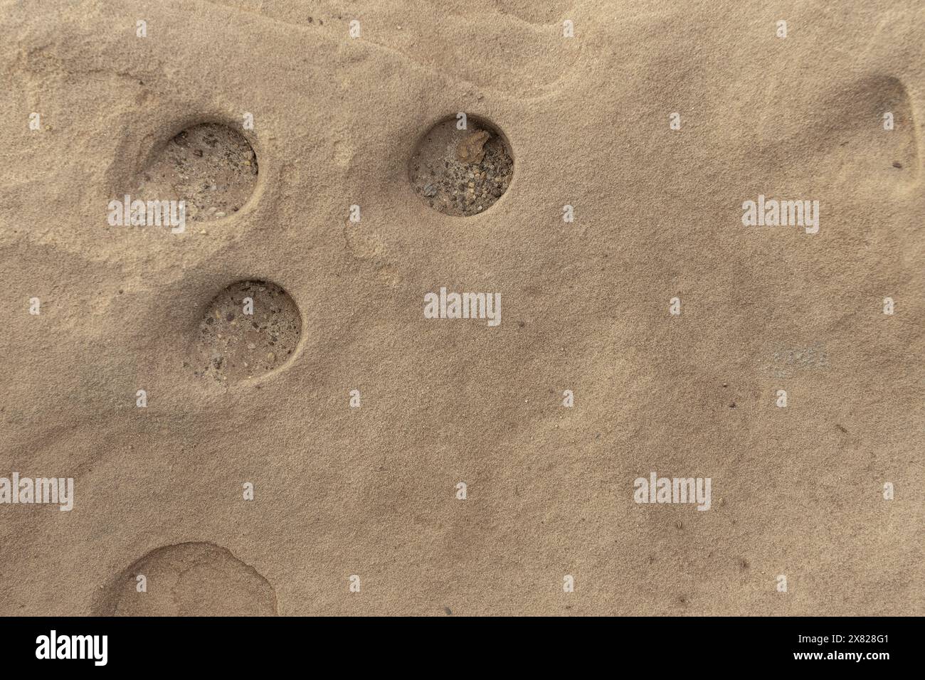 Close-up of weathered sandstone featuring distinct circular erosion ...