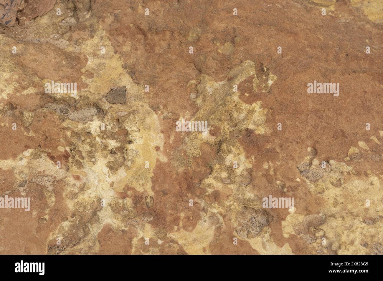 Close-up of weathered sandstone featuring varied erosion patterns and a ...