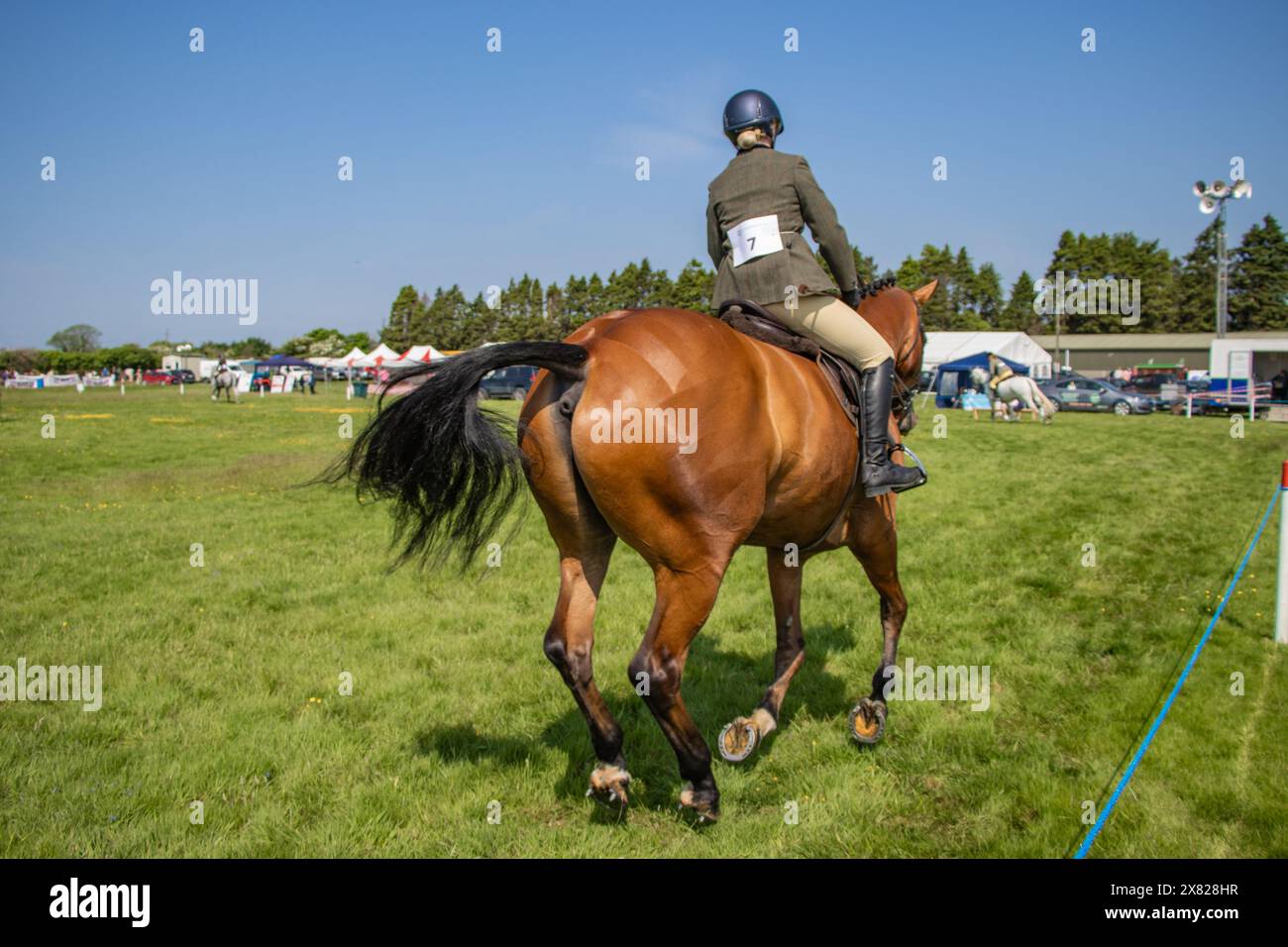Bandon show hi-res stock photography and images - Alamy