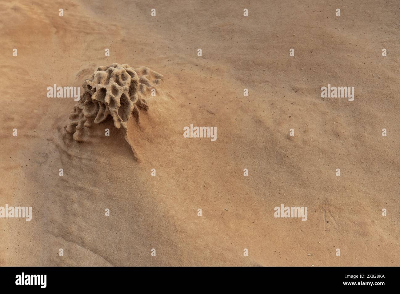 Close-up of a sandstone formation featuring prominent honeycomb ...