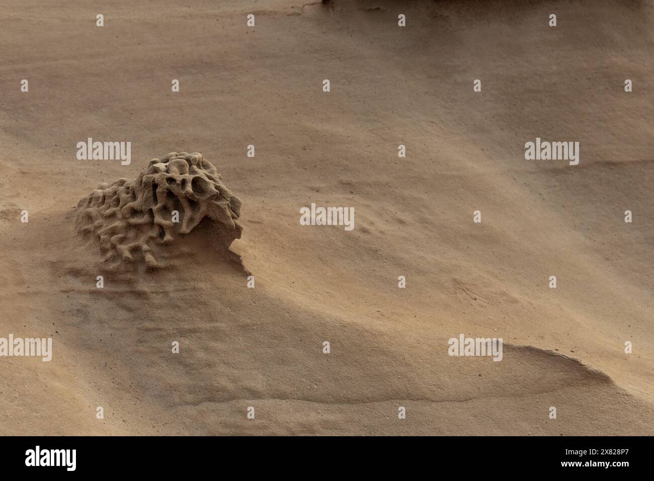 Close-up of a sandstone formation featuring prominent honeycomb ...