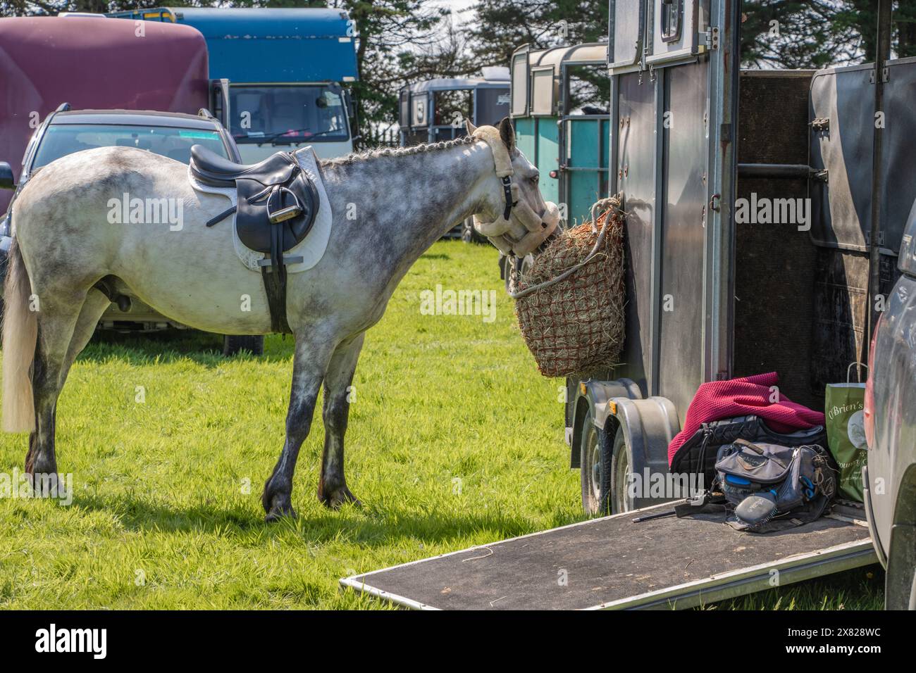 Bandon agricultural show hi-res stock photography and images - Alamy