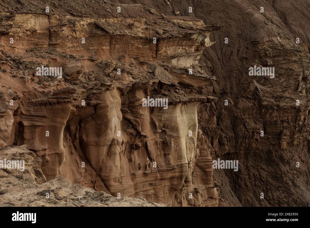 Featuring detailed studies hi-res stock photography and images - Alamy