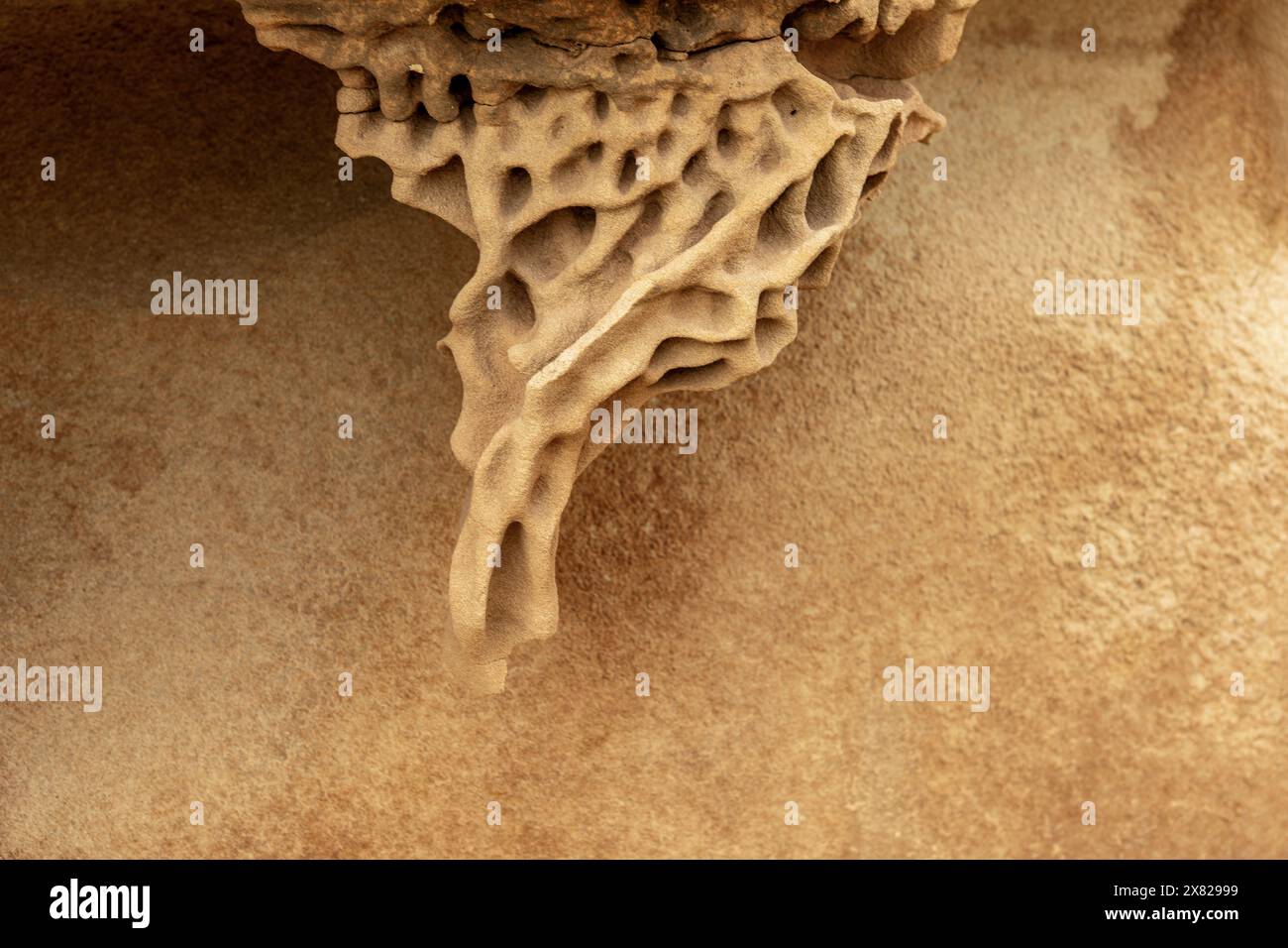 Honeycomb weathering hi-res stock photography and images - Alamy