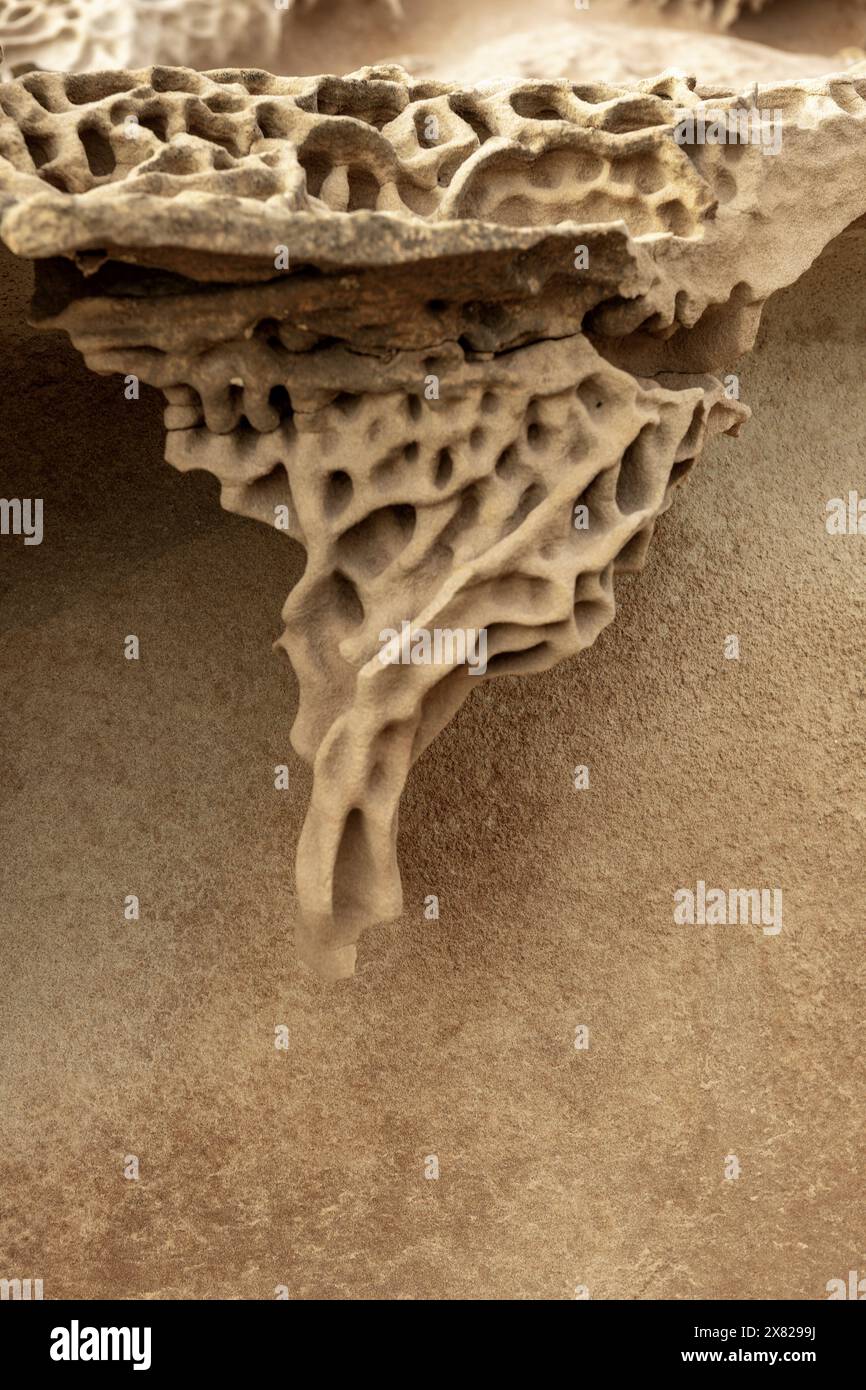 Honeycomb patterns hi-res stock photography and images - Alamy