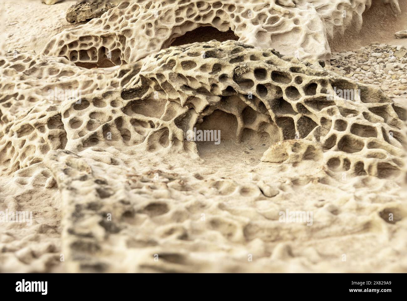 Close-up of intricate honeycomb weathering patterns on sandstone rocks ...